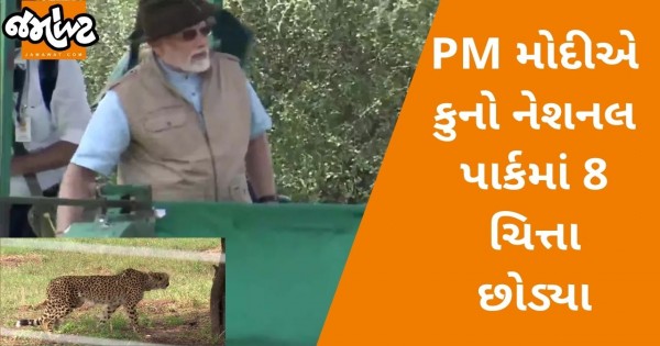PM Modi released 8 leopards in Kuno National Park, said- India can ...