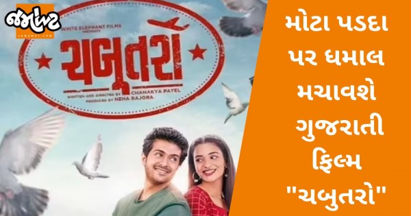 The trailer of the film 'Chabutro' has arrived, Gujarati people who ...