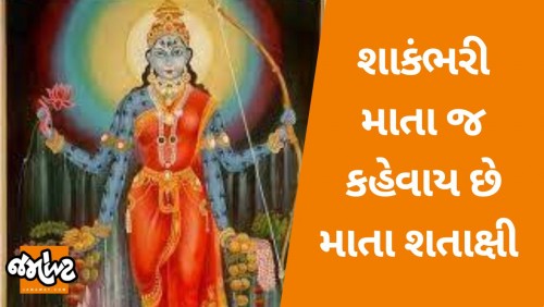Shakambari Navratri will start from tomorrow