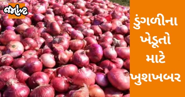 Govt directs agencies to procure onion from farmers as its prices crash