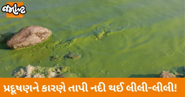 This company discharges polluted water in tapi river, tapi river turned ...