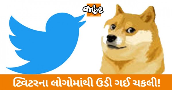 Elon Musk made a big change in Twitter! Changed Twitter's iconic ...