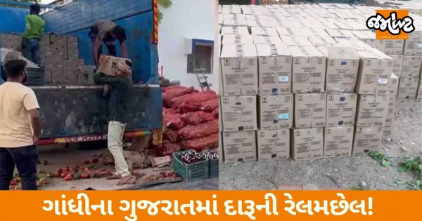 two separate raids by state monitoring cell near bavla-bagodara liquor ...