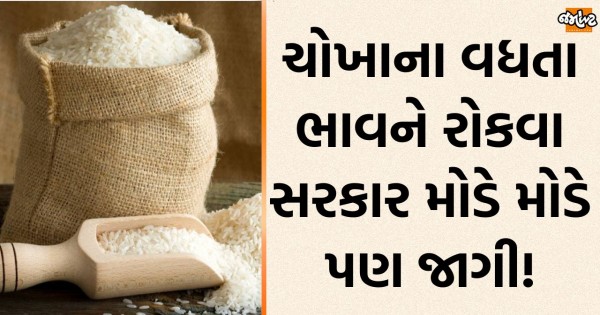 Govt decides not to allow basmati rice exports below USD 1,200/tonne