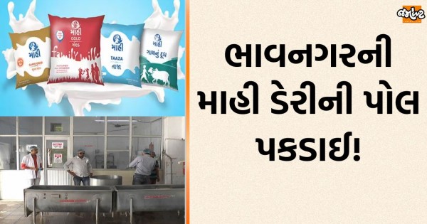 Bhavnagar Mahi Dairy Milk Sample Failed In Lab, Criminal Case Filed ...
